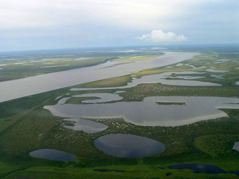 ТОП 10 самых крупных рек России названия фото