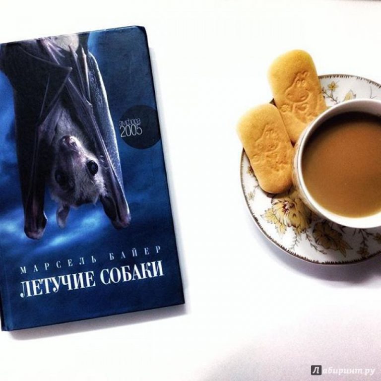 ТОП -16 книг триллеров: список лучших (зарубежных и русских)